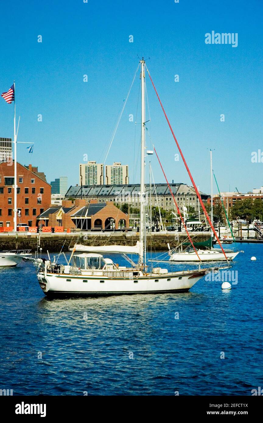 Sailboats in the river, Boston, Massachusetts, USA Stock Photo - Alamy