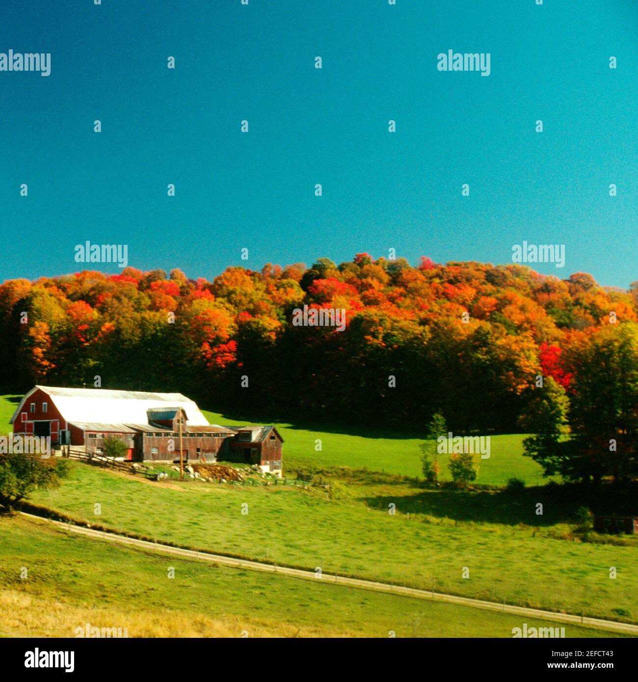 Farmhouse on a landscape Stock Photo - Alamy