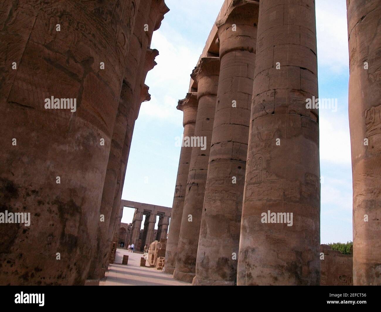 Low angle view of columns in a temple, Temples Of Karnak, Luxor, Egypt ...