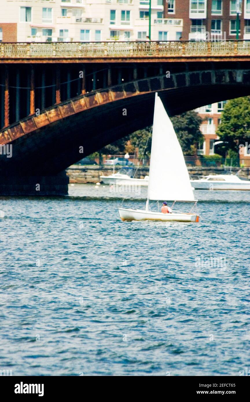 Sailboats in the river, Boston, Massachusetts, USA Stock Photo - Alamy