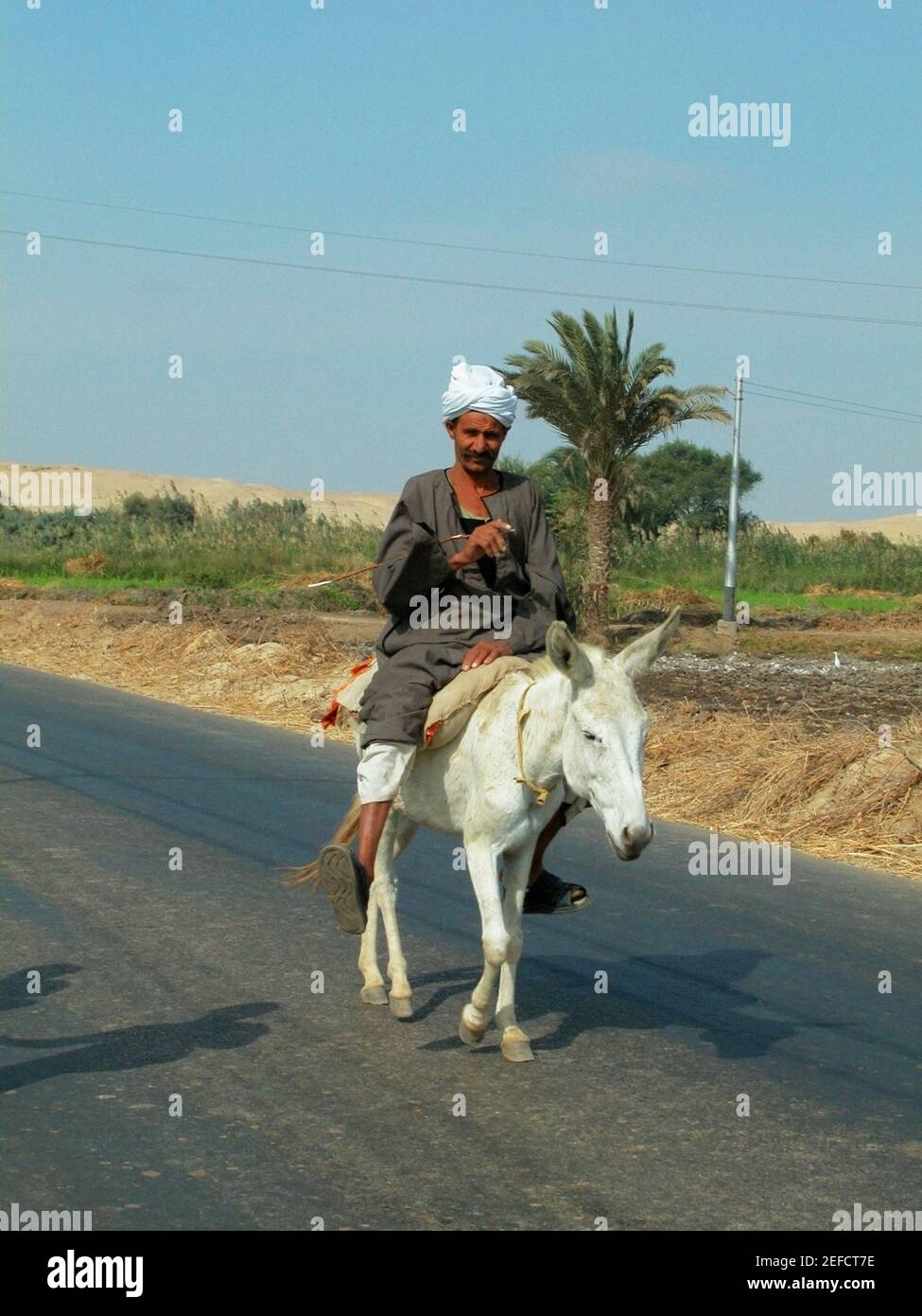 Man sitting on a donkey hi-res stock photography and images - Alamy