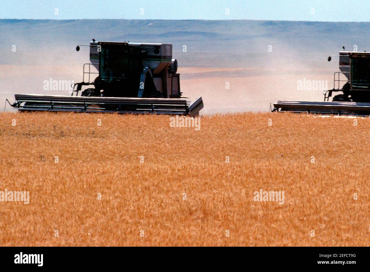 Thresher harvesting a field Stock Photo - Alamy