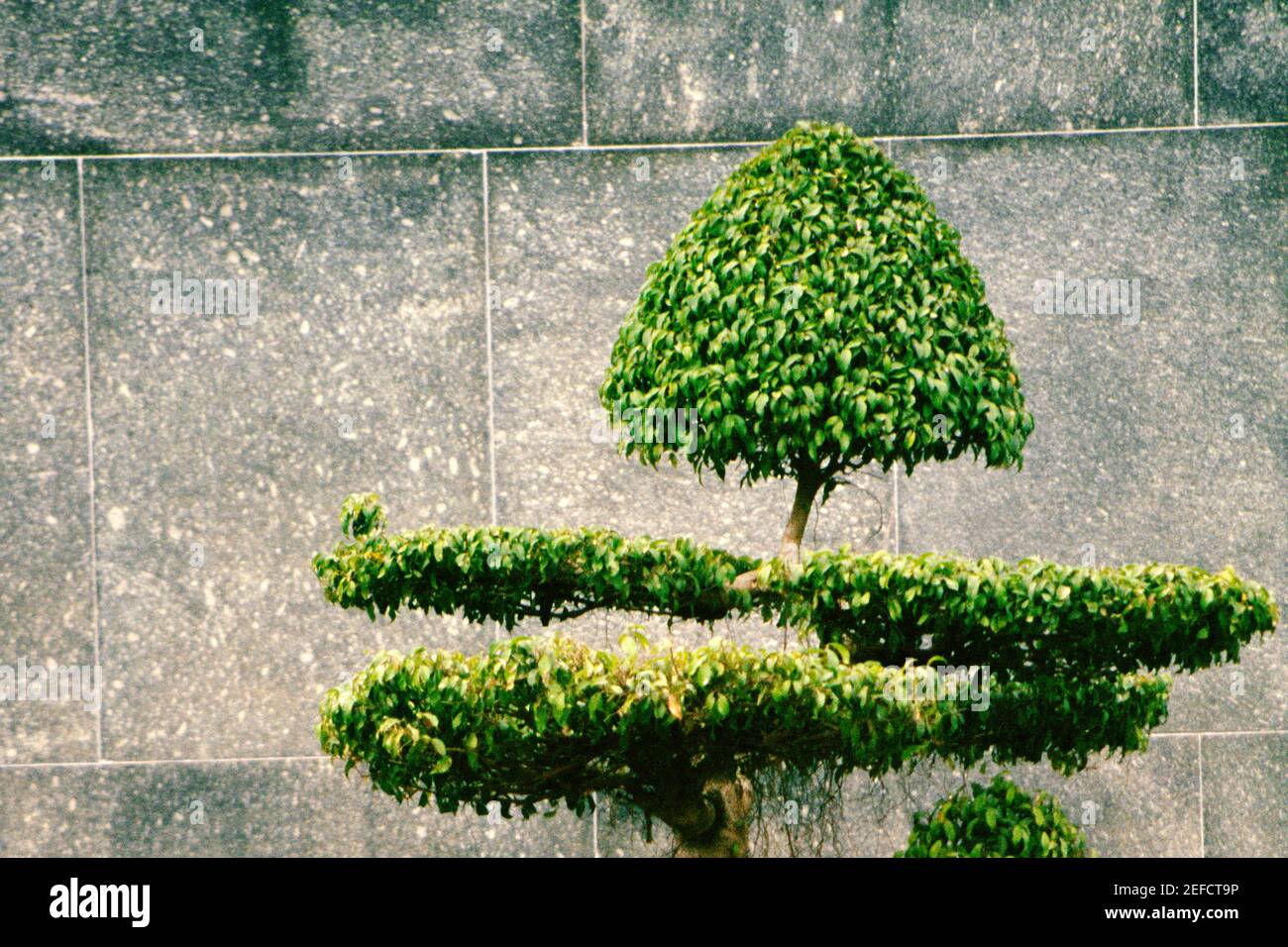 Image in front hi-res stock photography and images - Alamy
