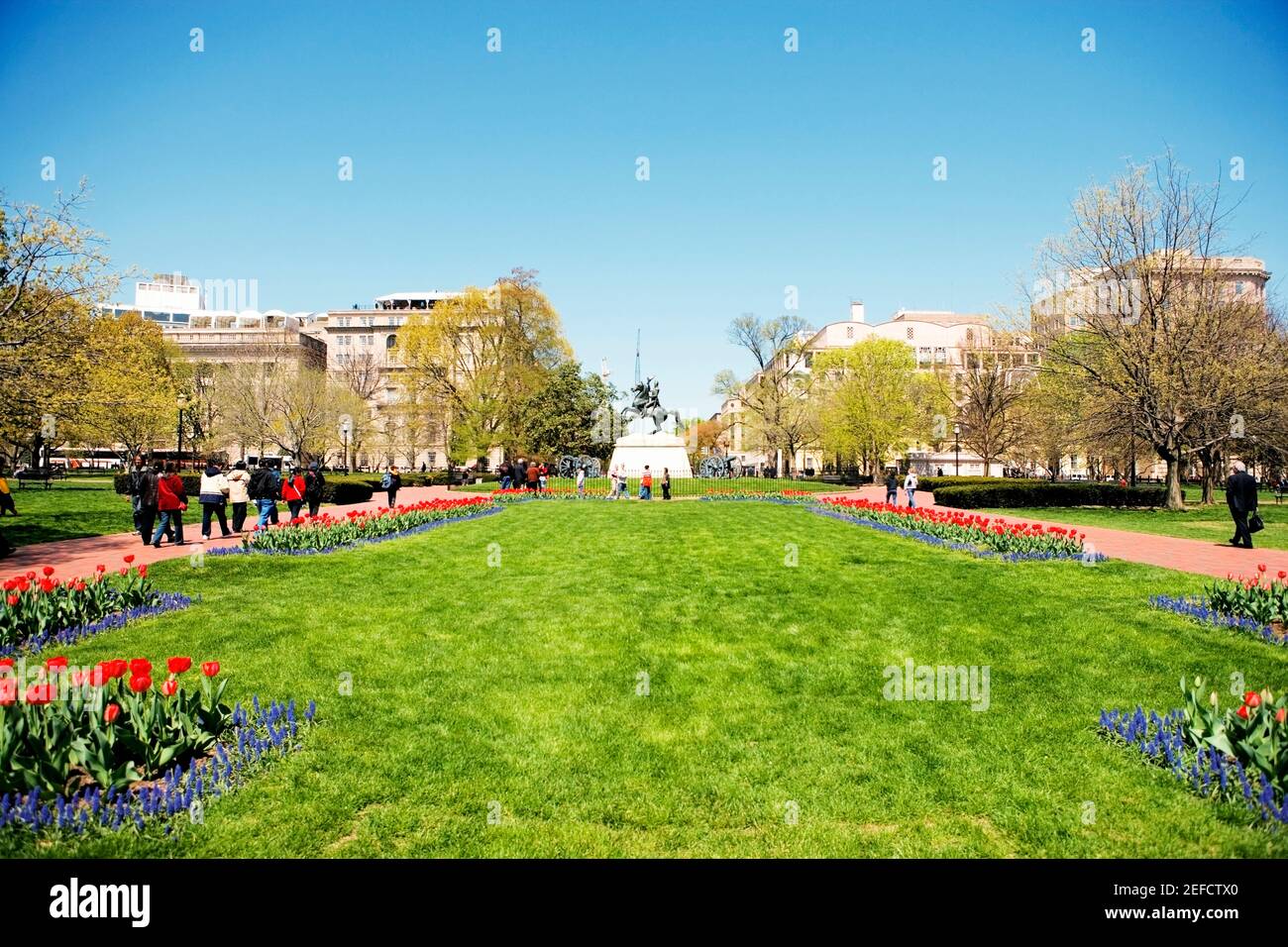 Low angle view of Andrew Jackson Statue, Lafayette Park, Washington DC ...
