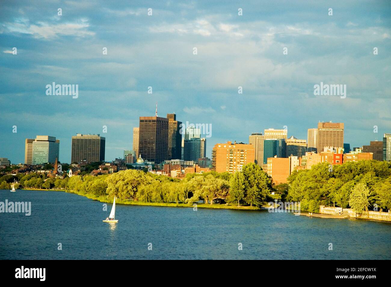 Sailboat on a river, Charles River, Esplanade, Boston, Massachusetts ...