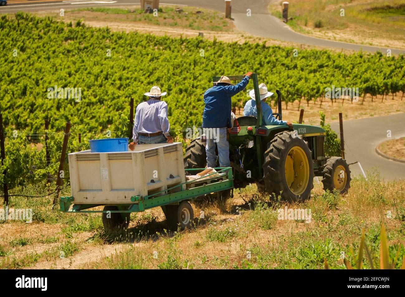 Rear view of three farmers on a tractor Stock Photo - Alamy