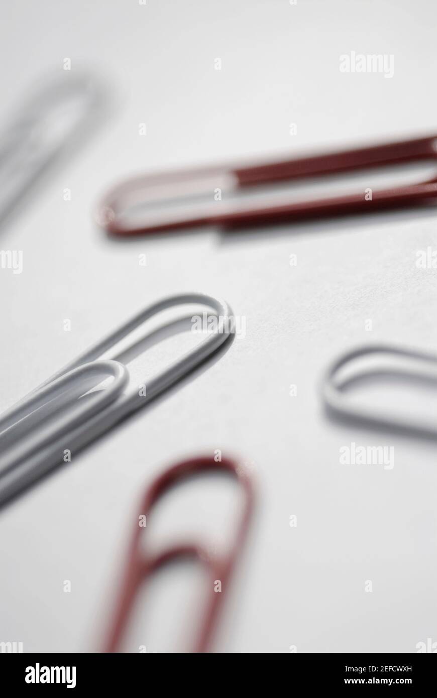 Close up of paper clips Stock Photo - Alamy