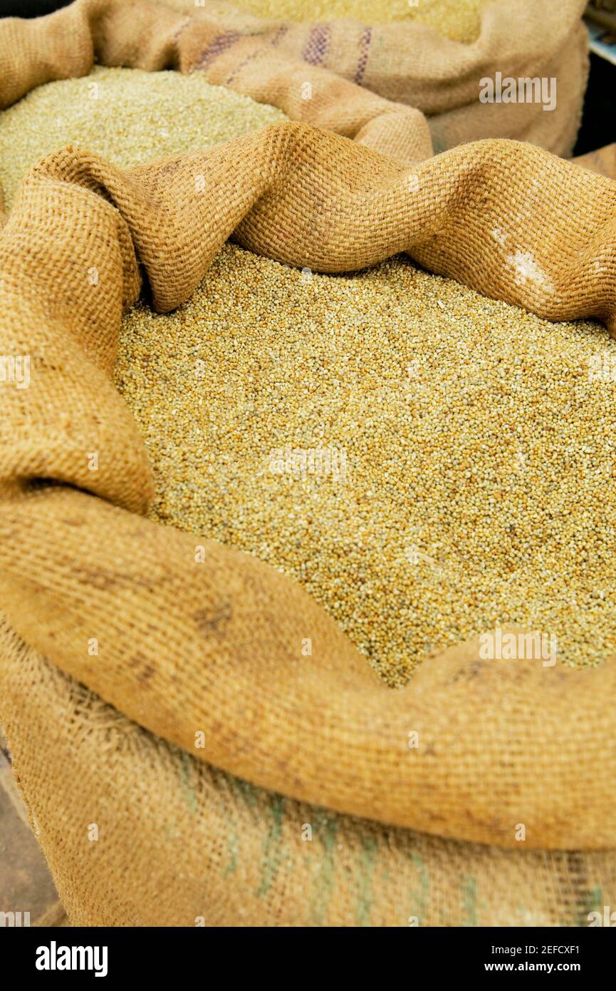 Close-up of a sack of grain, Jaisalmer, Rajasthan, India Stock Photo ...