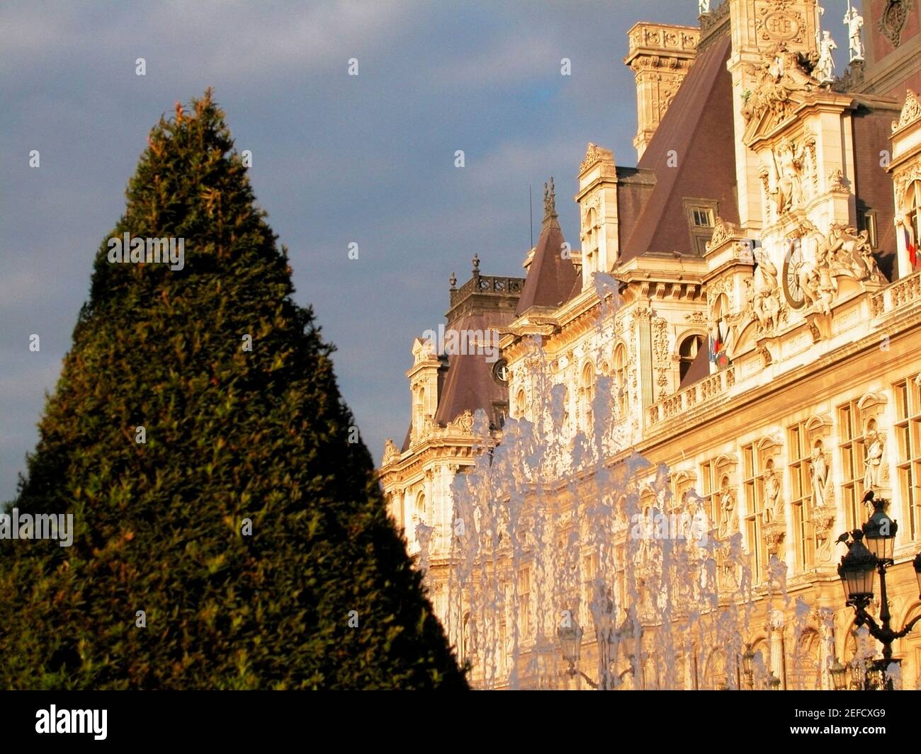Tree in front of a building, Paris, France Stock Photo - Alamy