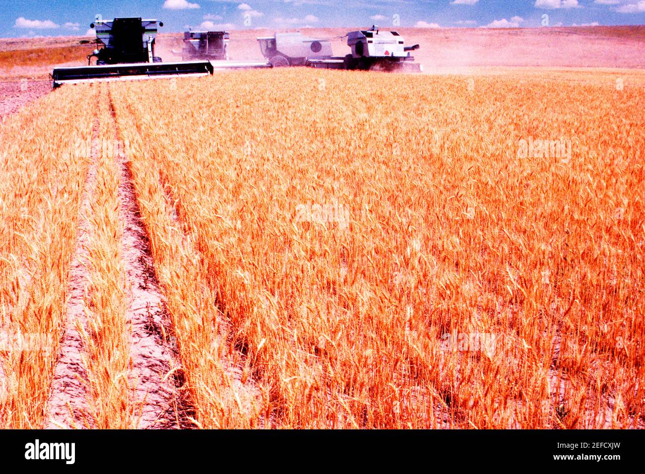 Thresher harvesting a field Stock Photo - Alamy
