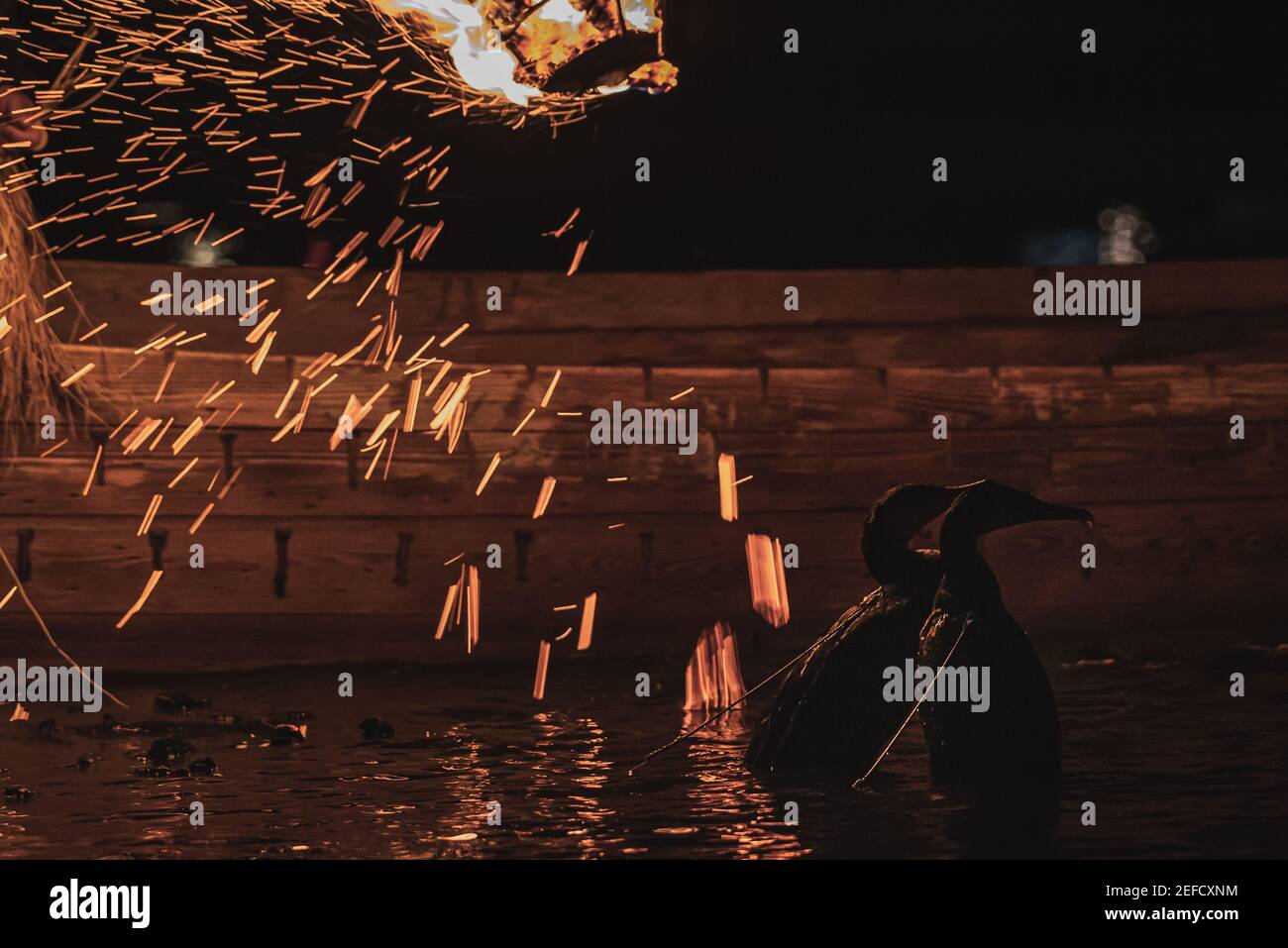 pelican fishing called Ukai in Gifu,Japan is a event more than 1300 ...