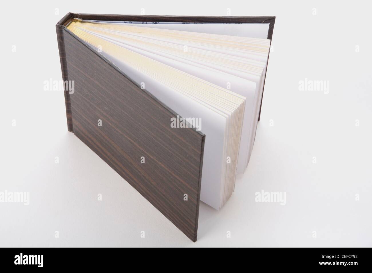 Diary interior hi-res stock photography and images - Alamy