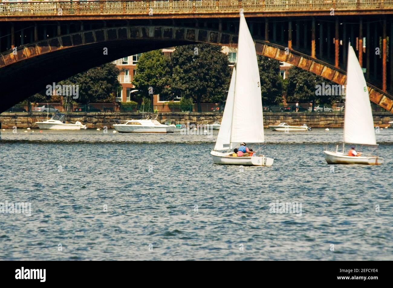 Sail boats in water, Boston, Massachusetts, USA Stock Photo - Alamy