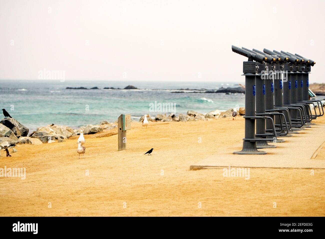 Side profile of telescopes on the beach, California, USA Stock Photo ...