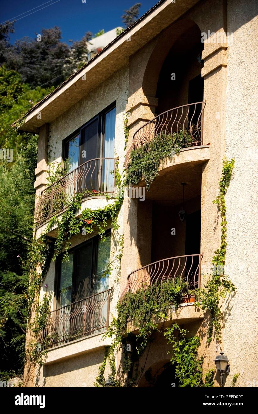 Low angle view of balconies covered in ivy, California, USA Stock Photo ...