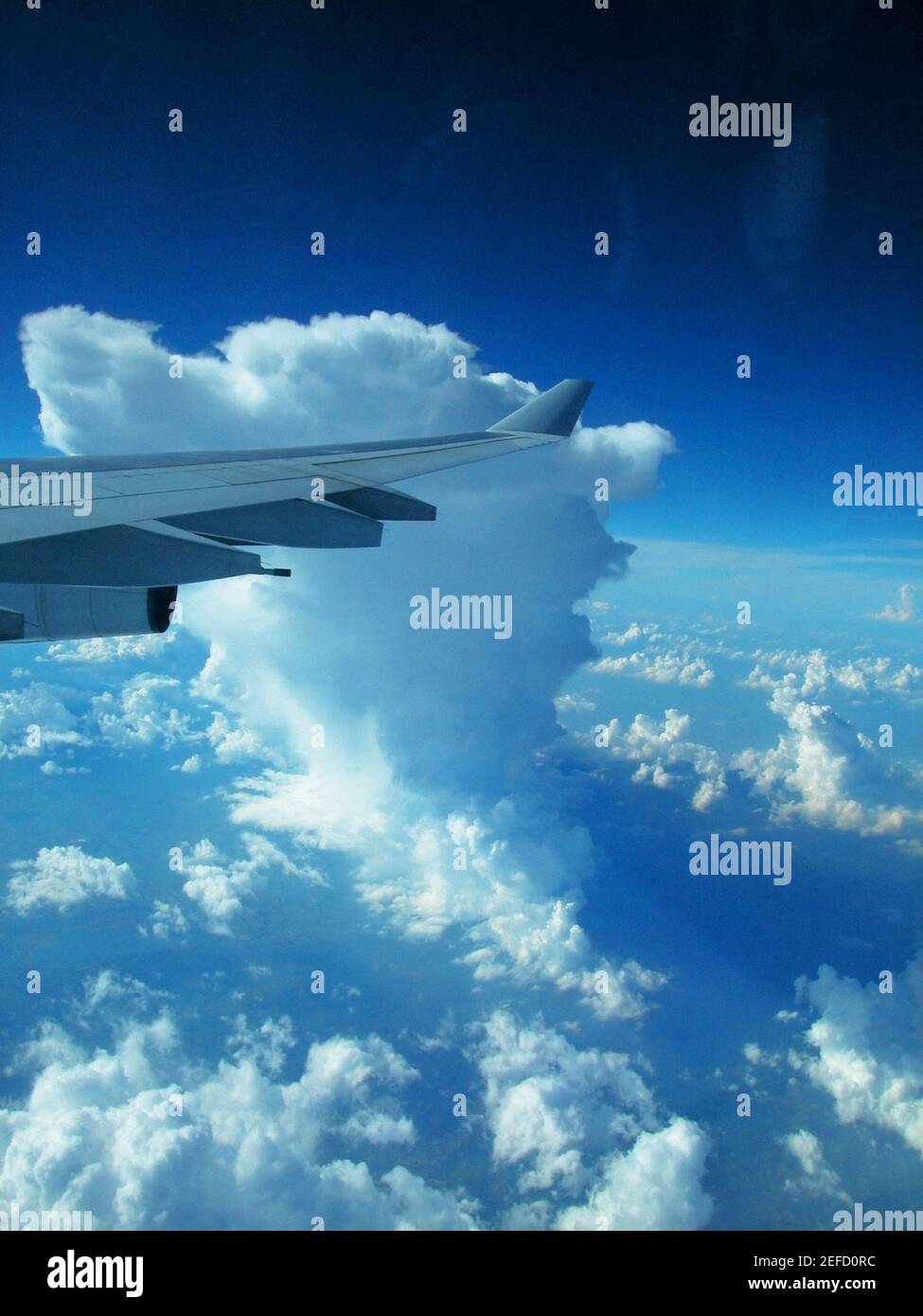 Airplane in flight Stock Photo - Alamy