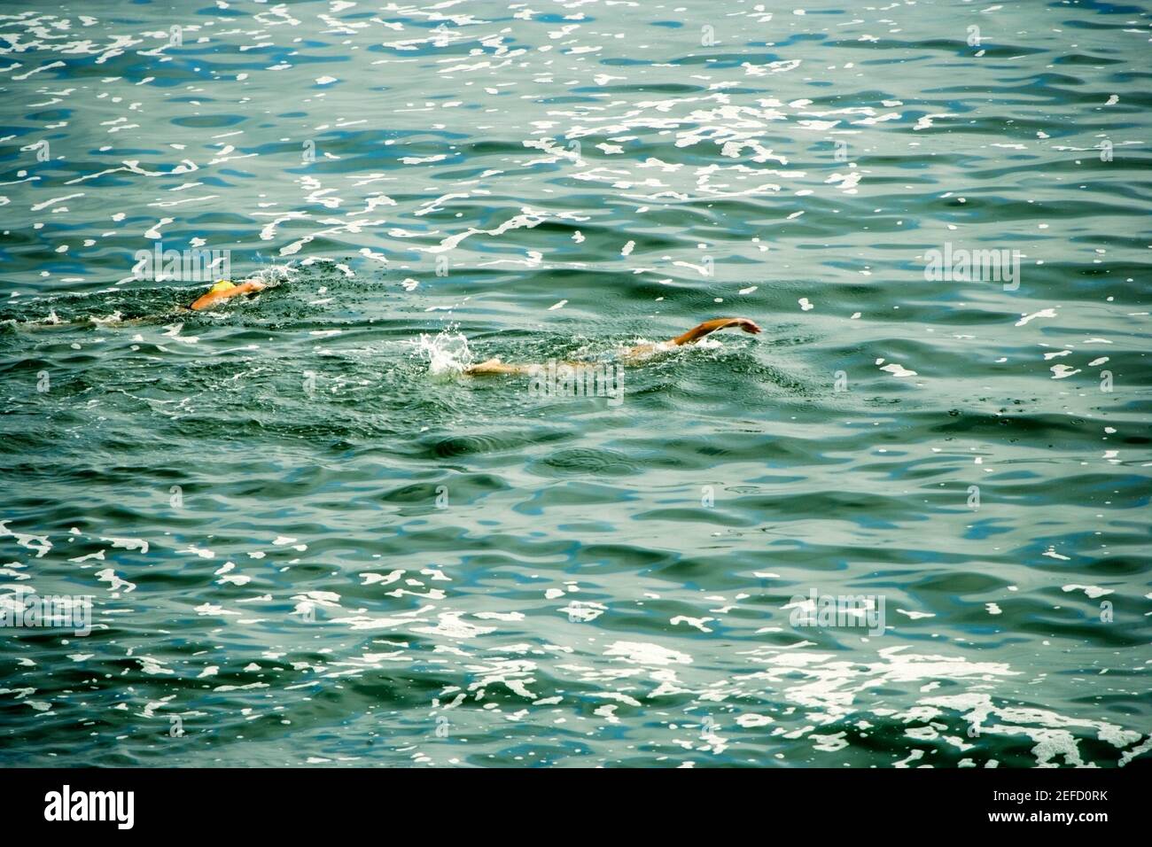 Free time swimming hi-res stock photography and images - Alamy