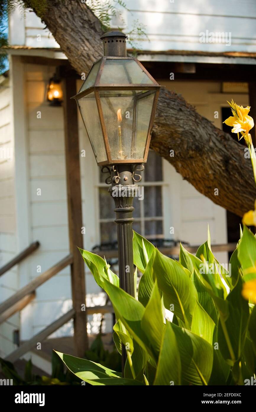 Close-up of a street light, San Diego, California, USA Stock Photo - Alamy
