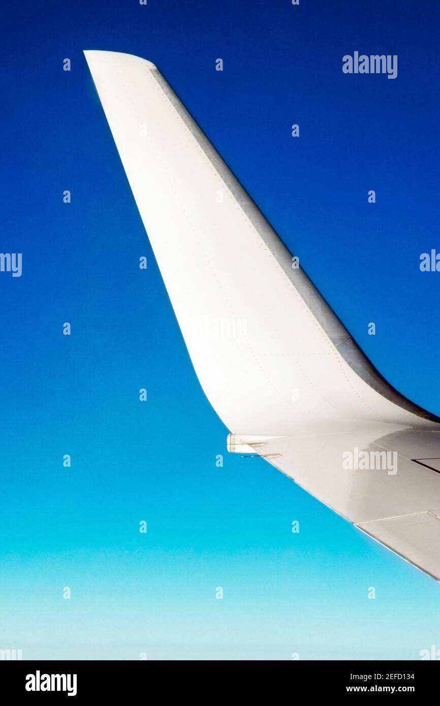 Blue wing panel hi-res stock photography and images - Alamy