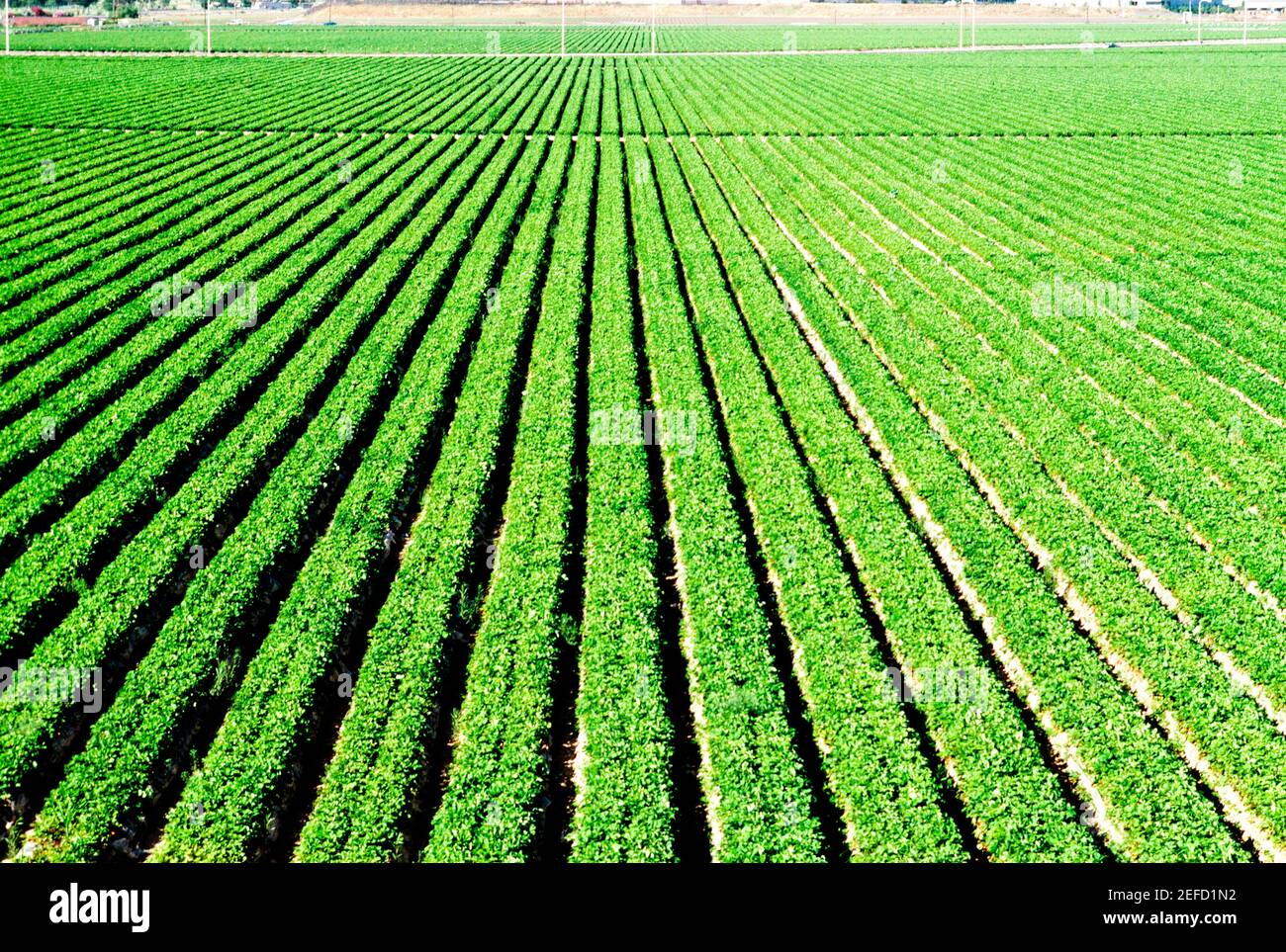 Truck garden hi-res stock photography and images - Alamy