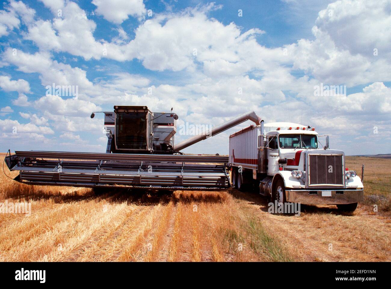 Custom Combine Harvesters