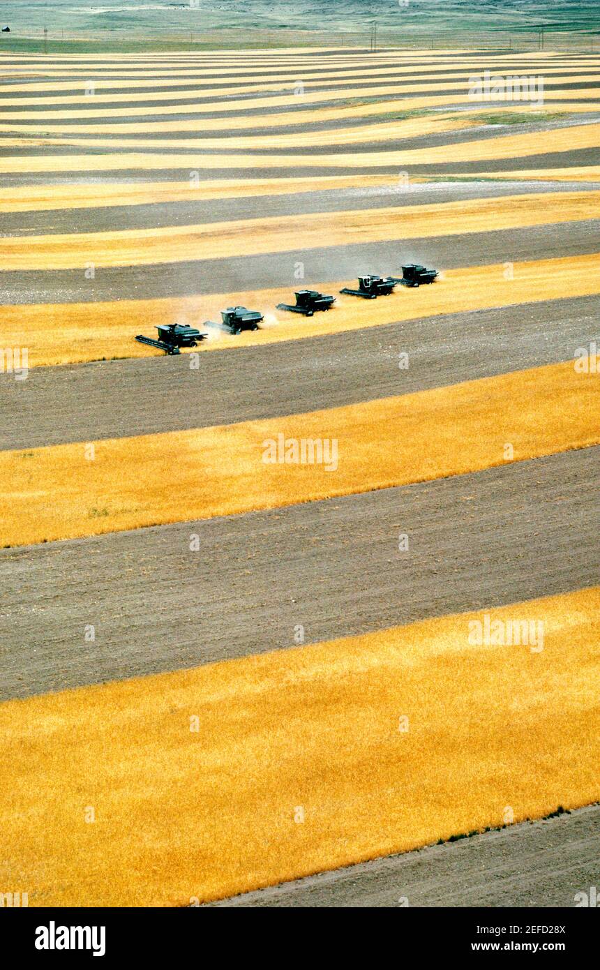 Custom harvest combine hi-res stock photography and images - Alamy