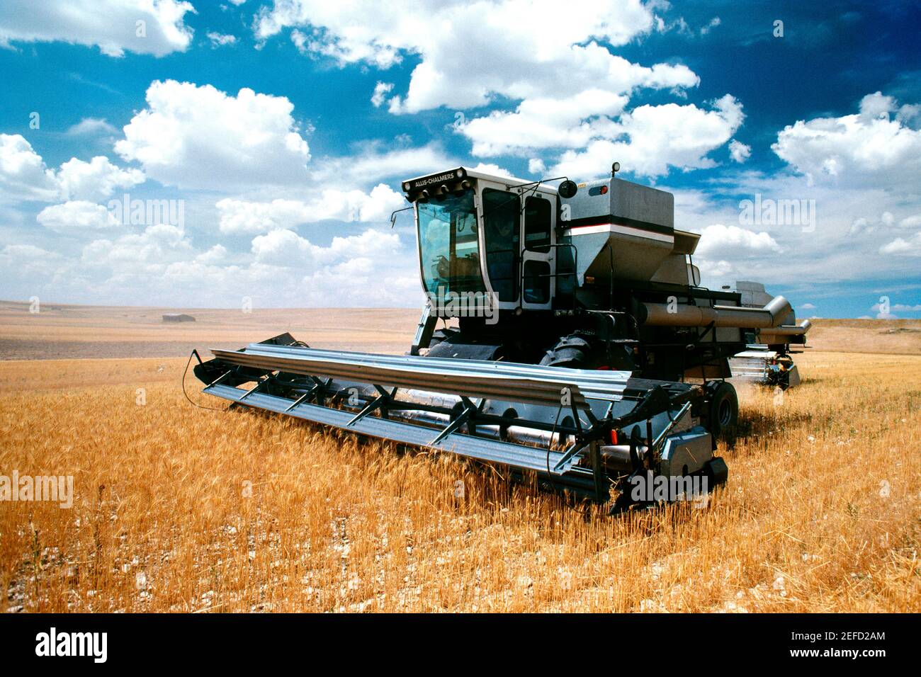 Custom harvest combine harvest wheat near Cheyenne, WY Stock Photo - Alamy