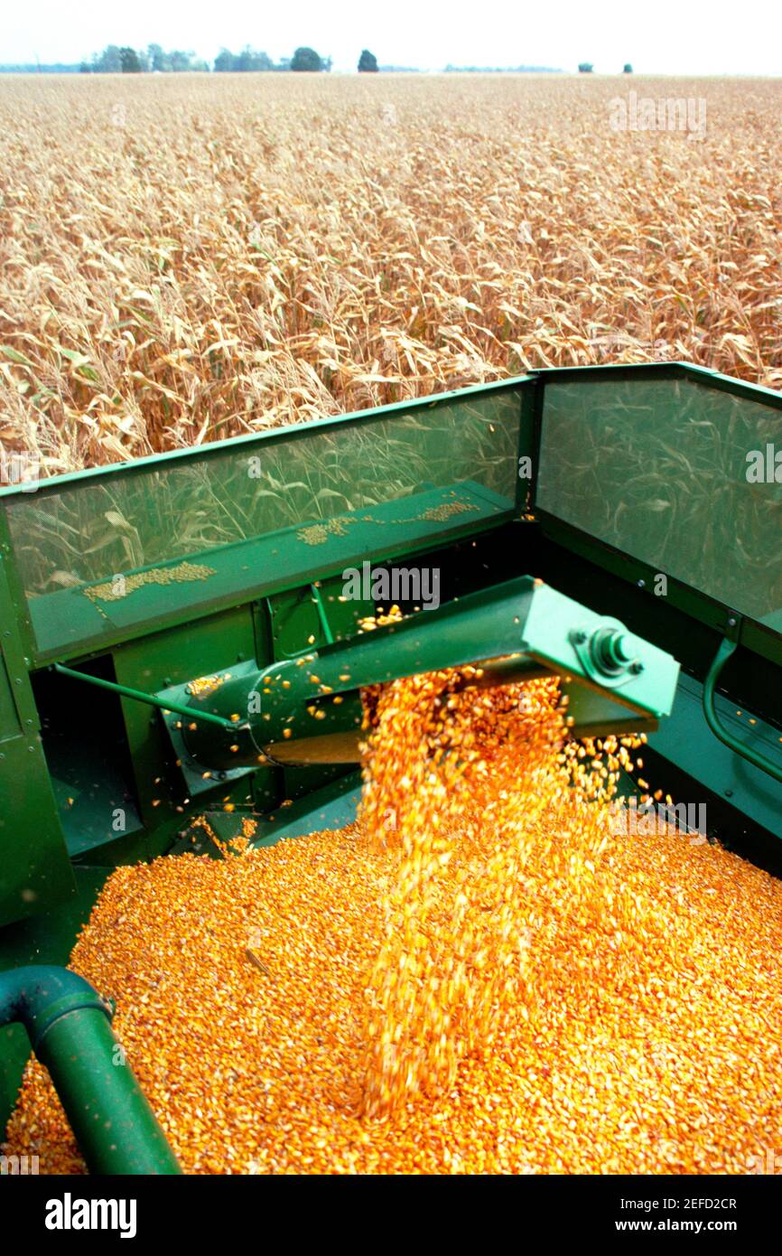 Collection hopper hi-res stock photography and images - Alamy