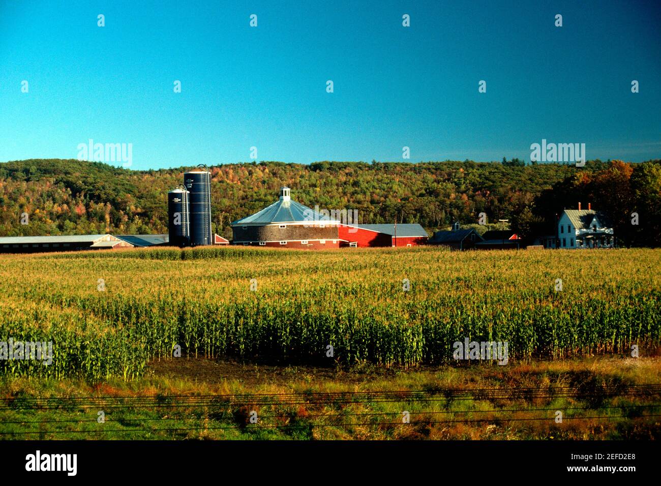 Round barn with clear blue sky in the background near Wells River ...