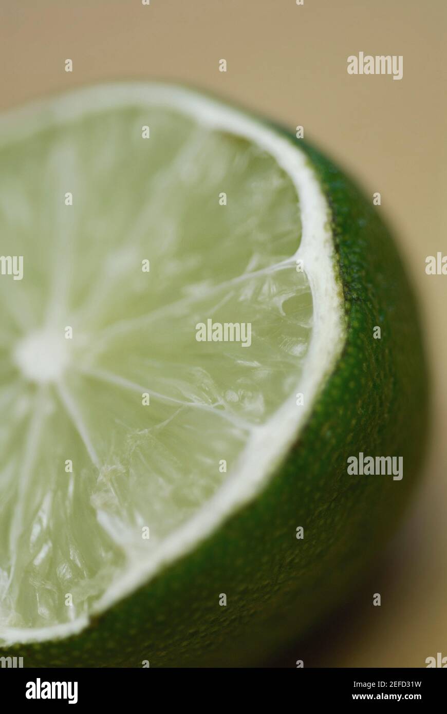 Close up of the cross section of a lemon Stock Photo - Alamy
