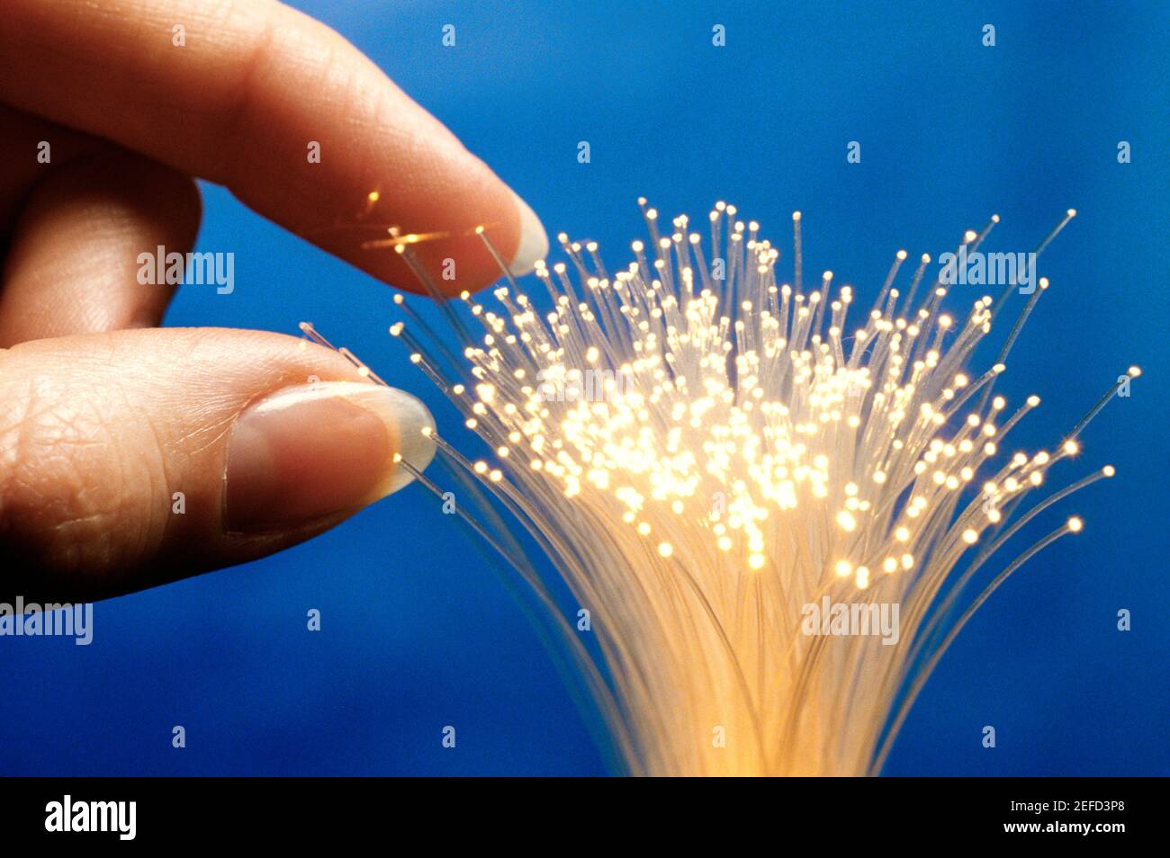 Close-up of a personÅ½s hand touching fiber optic cables Stock Photo ...