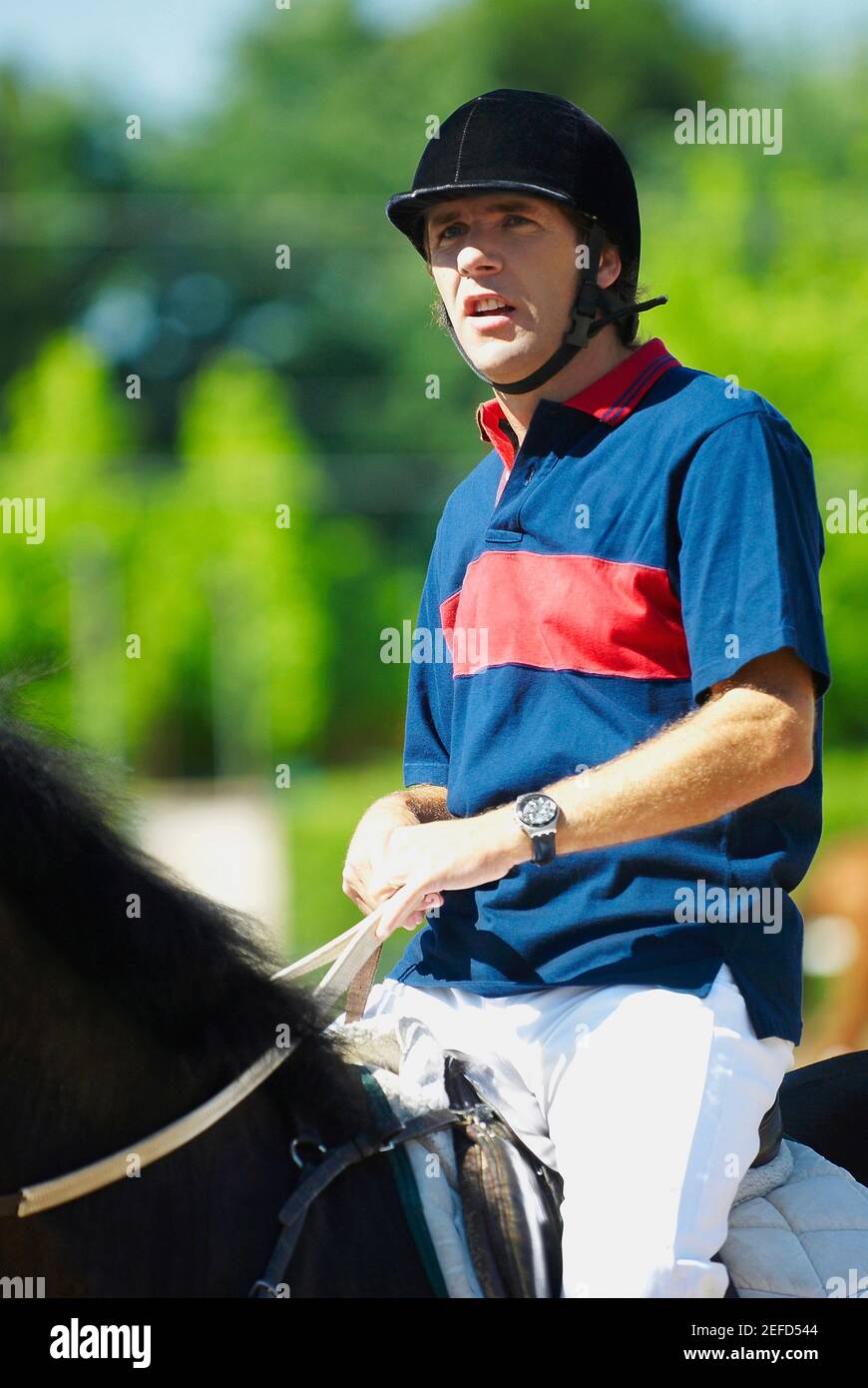 Mid adult man horseback riding Stock Photo - Alamy