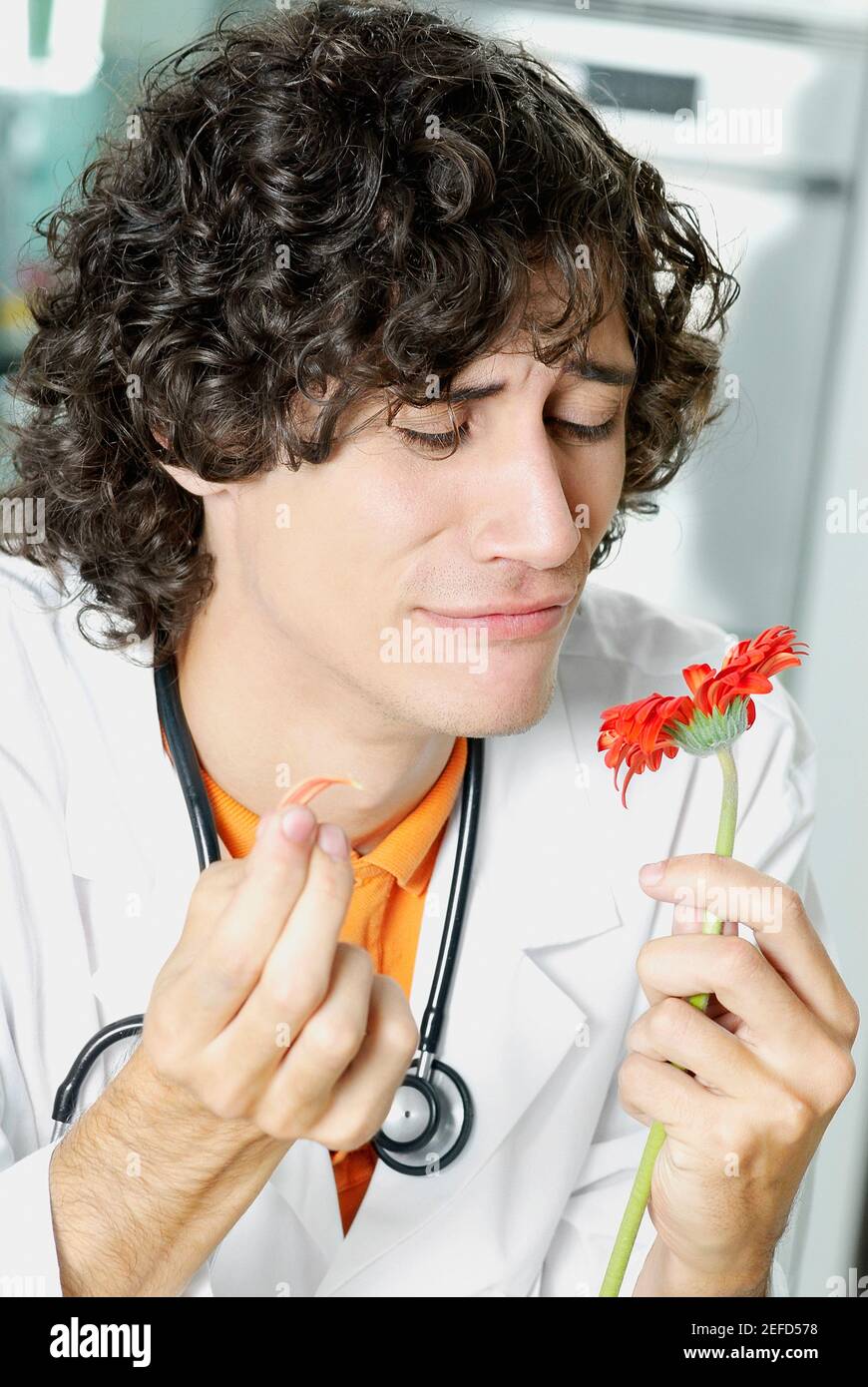 Close up of a male doctor plucking the petal of a flower Stock Photo ...