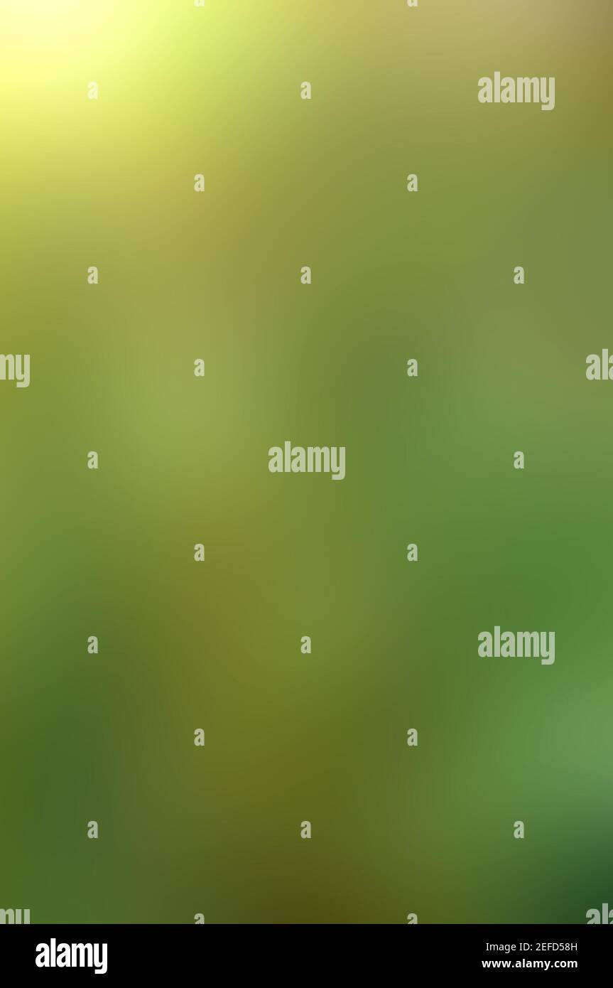 Defocused abstract texture colourful blur background for your design ...