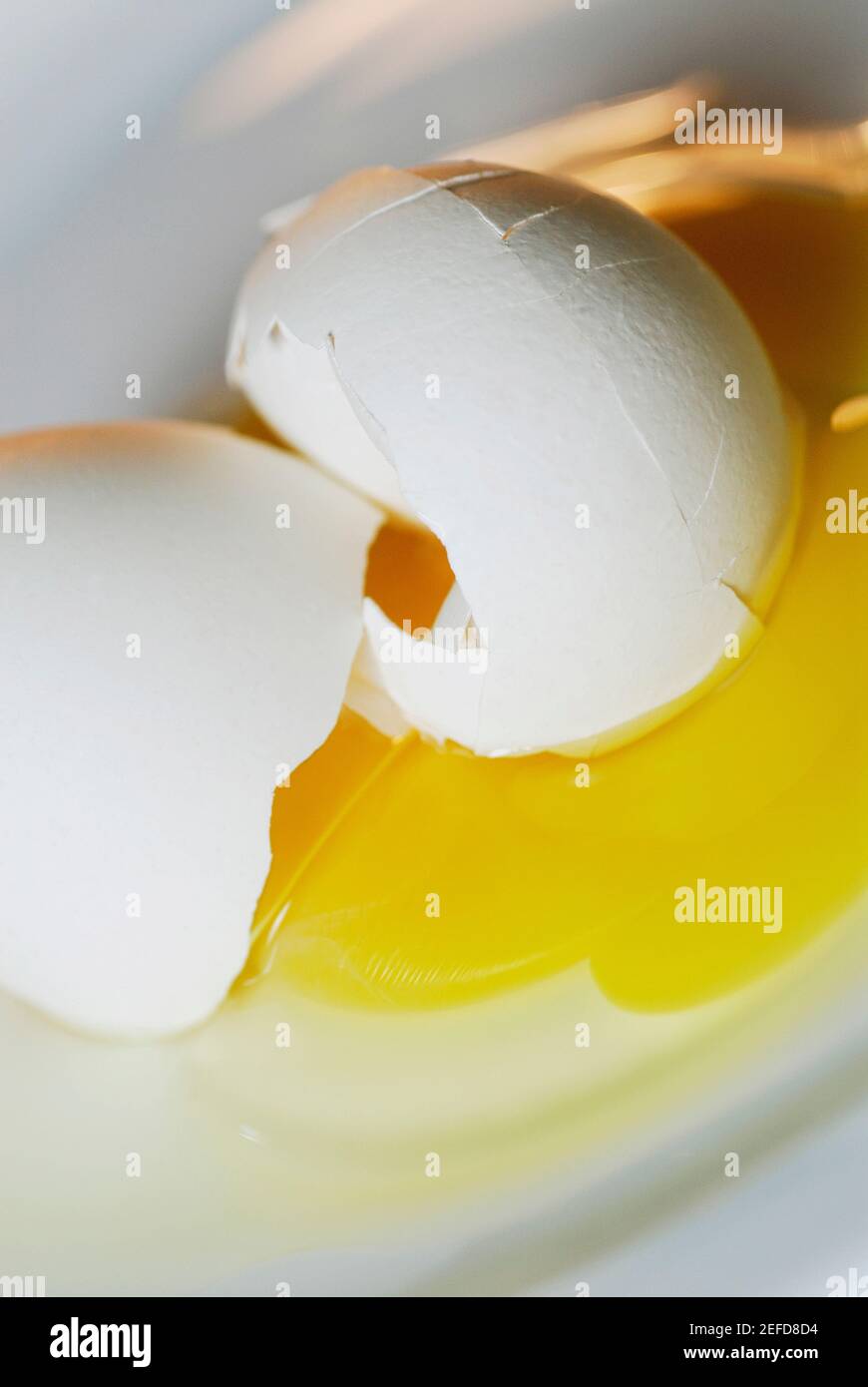 Close up of a broken egg Stock Photo - Alamy