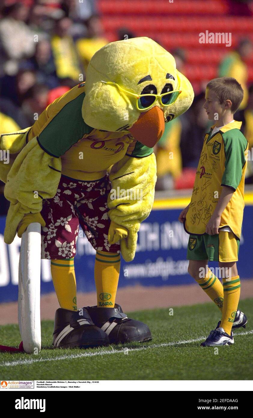 Norwich City Mascot High Resolution Stock Photography and Images - Alamy
