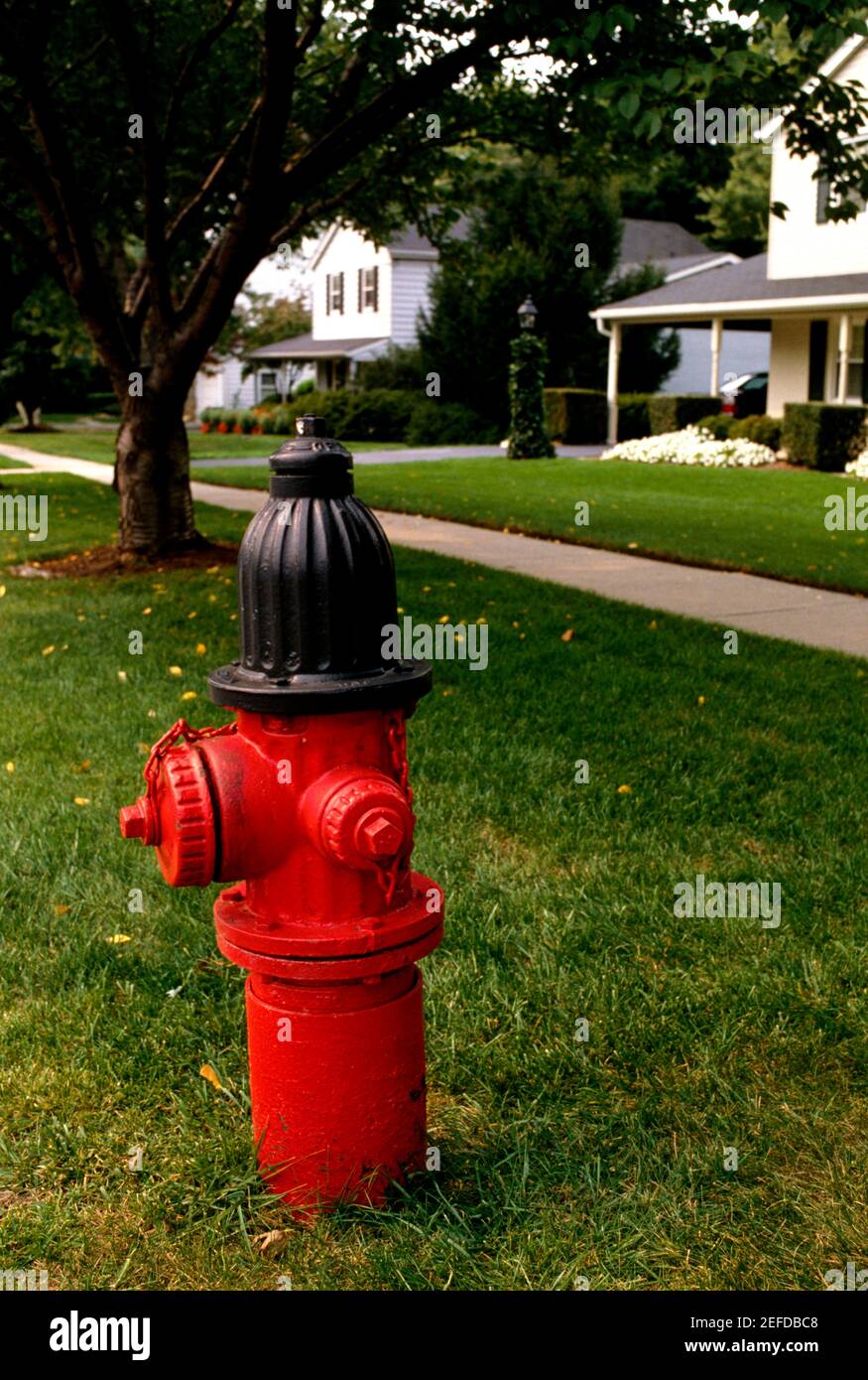Red fire hydrant in suburban Maryland Stock Photo - Alamy