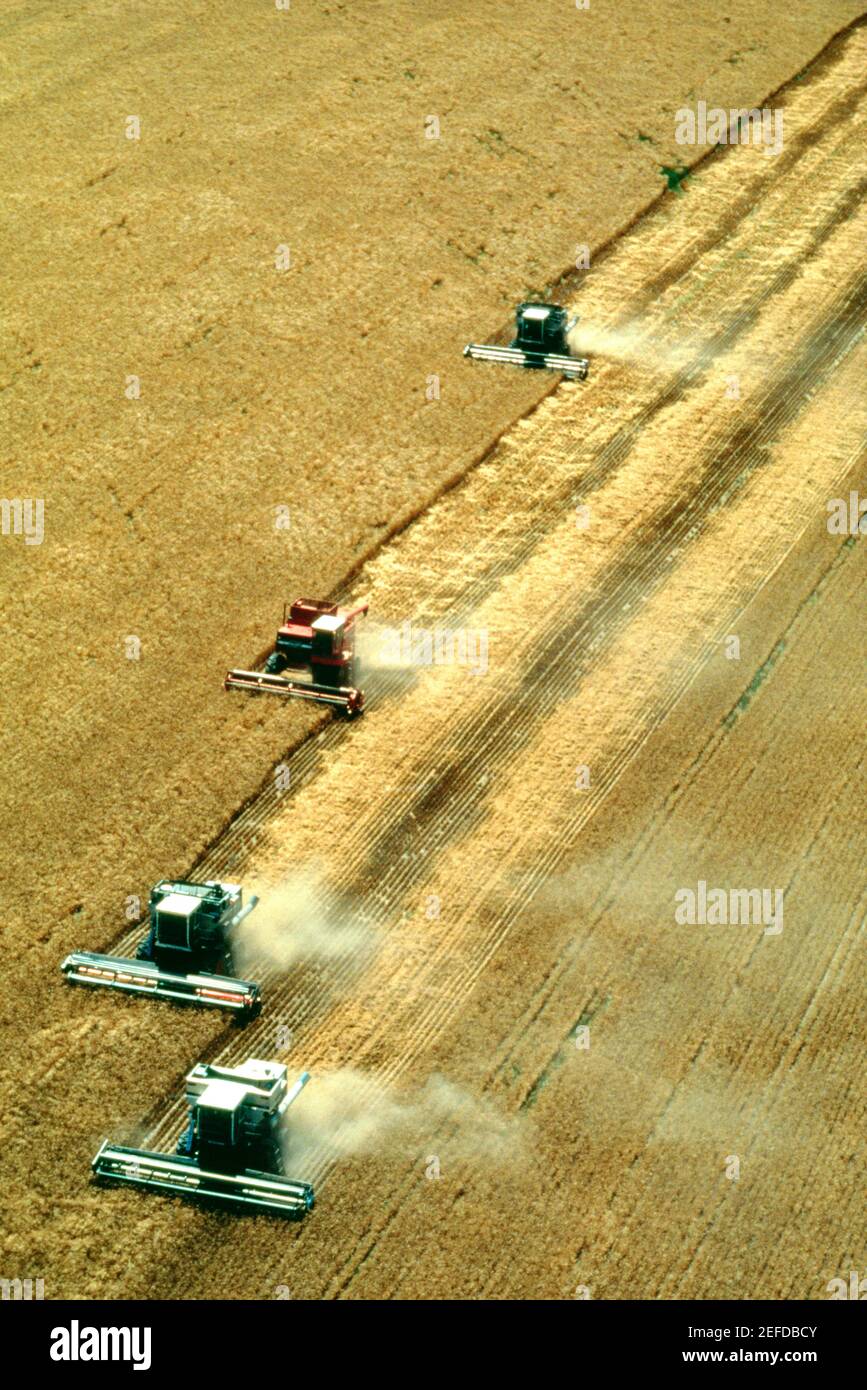 Aerial view of combines harvest wheat near Colorado Stock Photo - Alamy