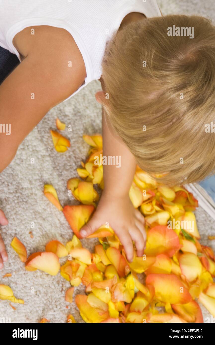 Child Picking Rose High Resolution Stock Photography and Images - Alamy