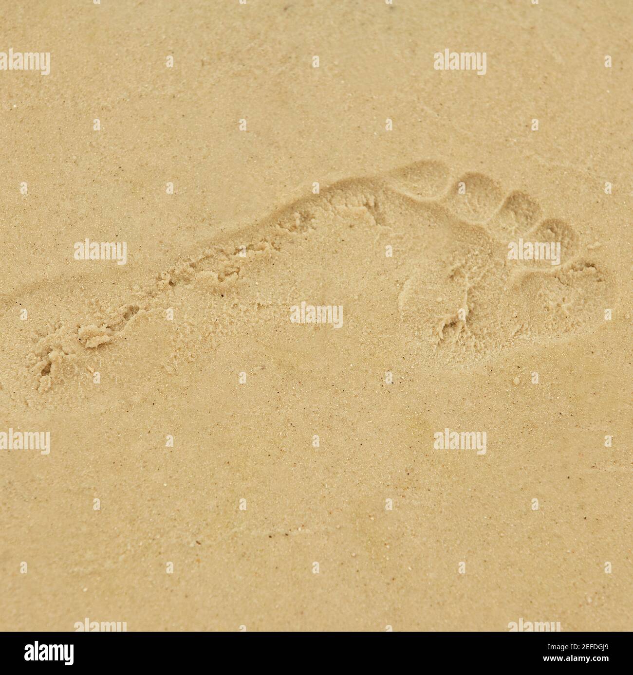Footprints in sand Stock Photo - Alamy