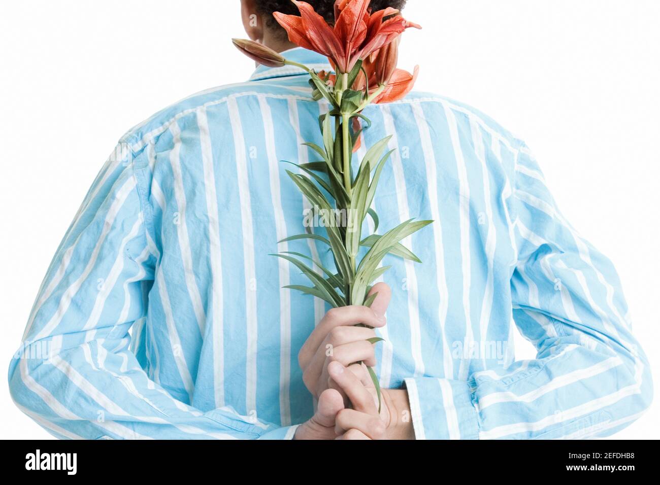 Rear view of a young man hiding flowers behind his back Stock Photo - Alamy