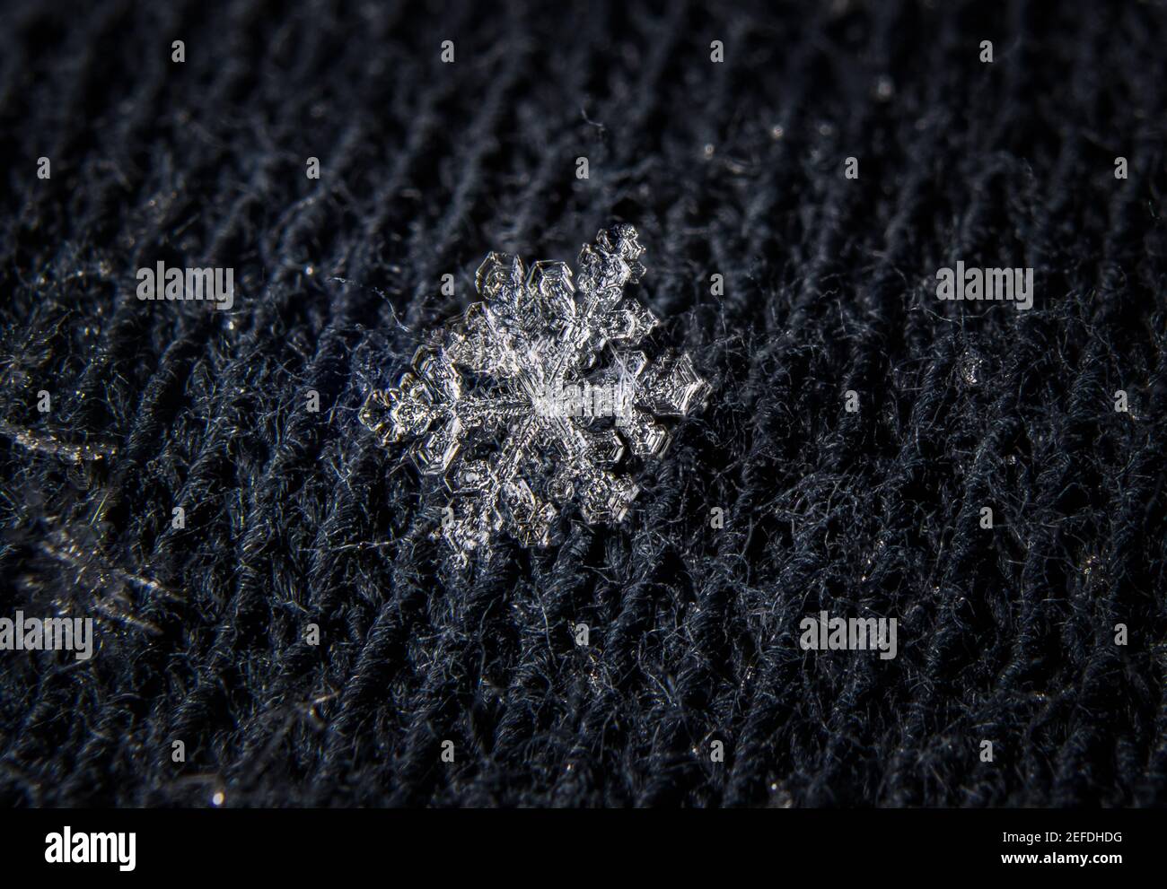 You are a snowflake hi-res stock photography and images - Alamy
