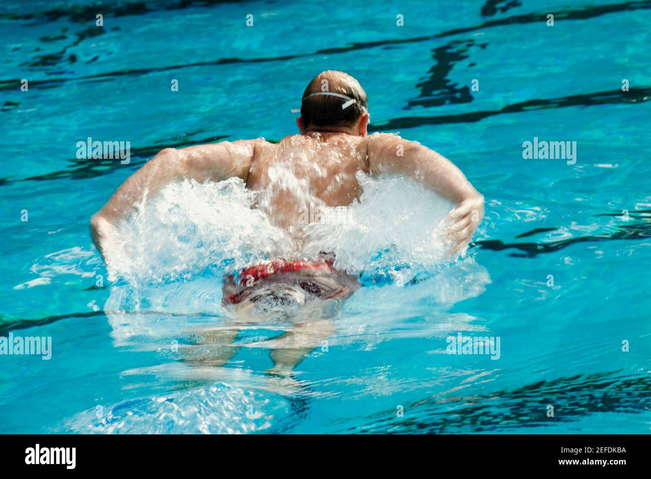 Rear view of a mid adult man swimming in a swimming pool Stock Photo ...