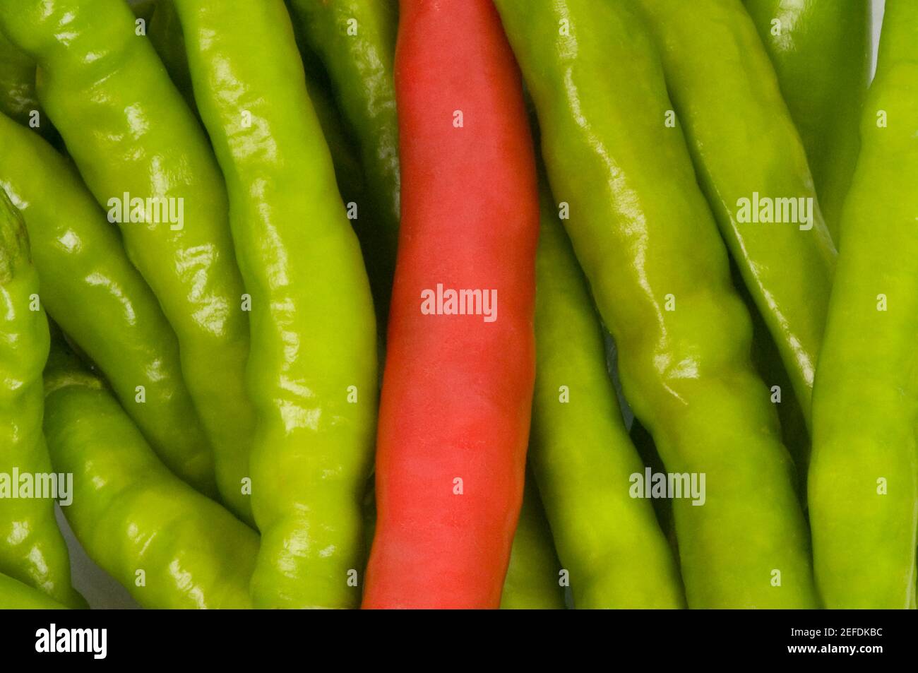 Assortment chili peppers hi-res stock photography and images - Alamy