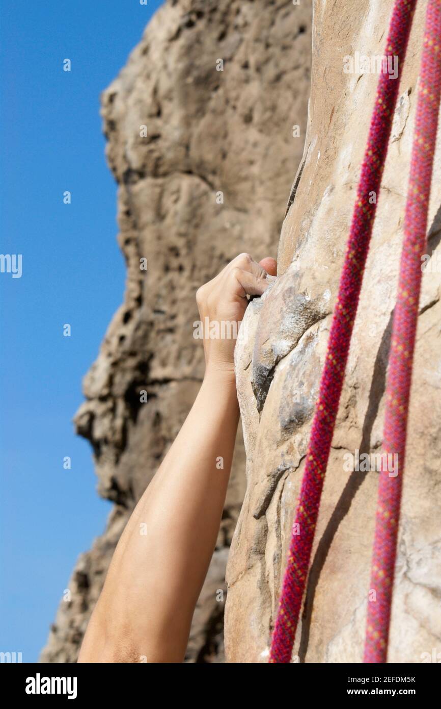 Hand scaling hi-res stock photography and images - Alamy