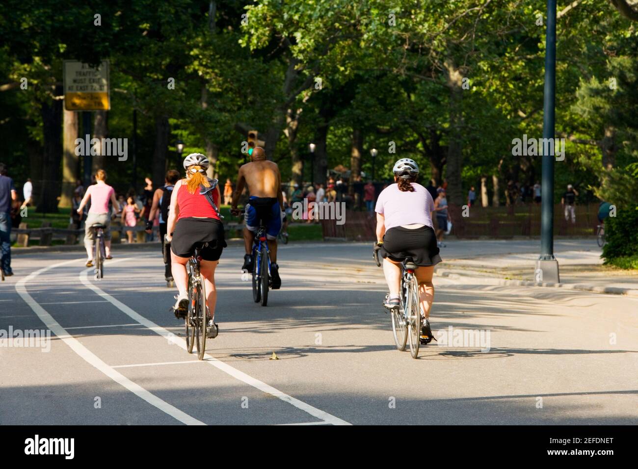 Rear view of a group of people cycling Stock Photo - Alamy