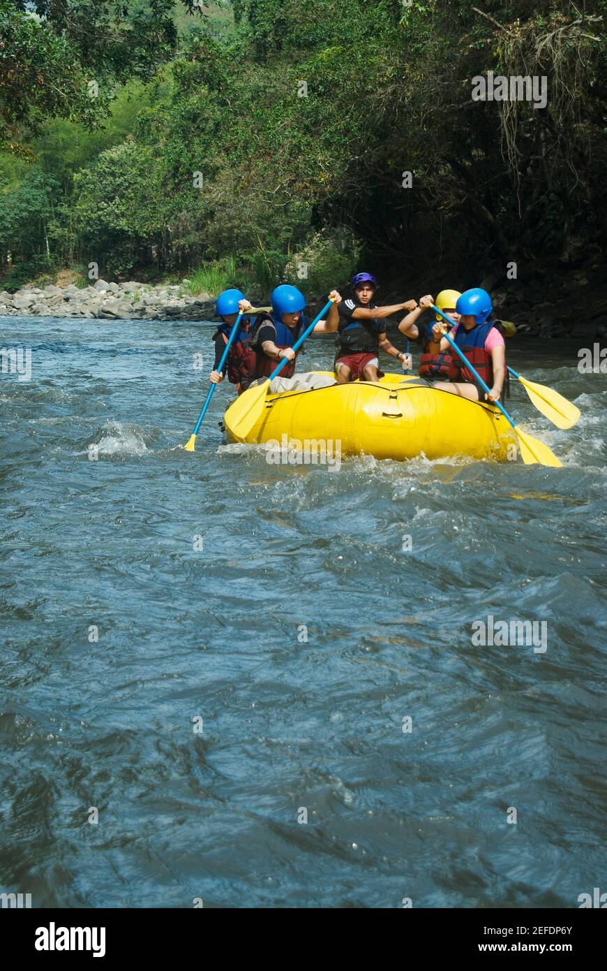 Five people rafting in a river Stock Photo - Alamy