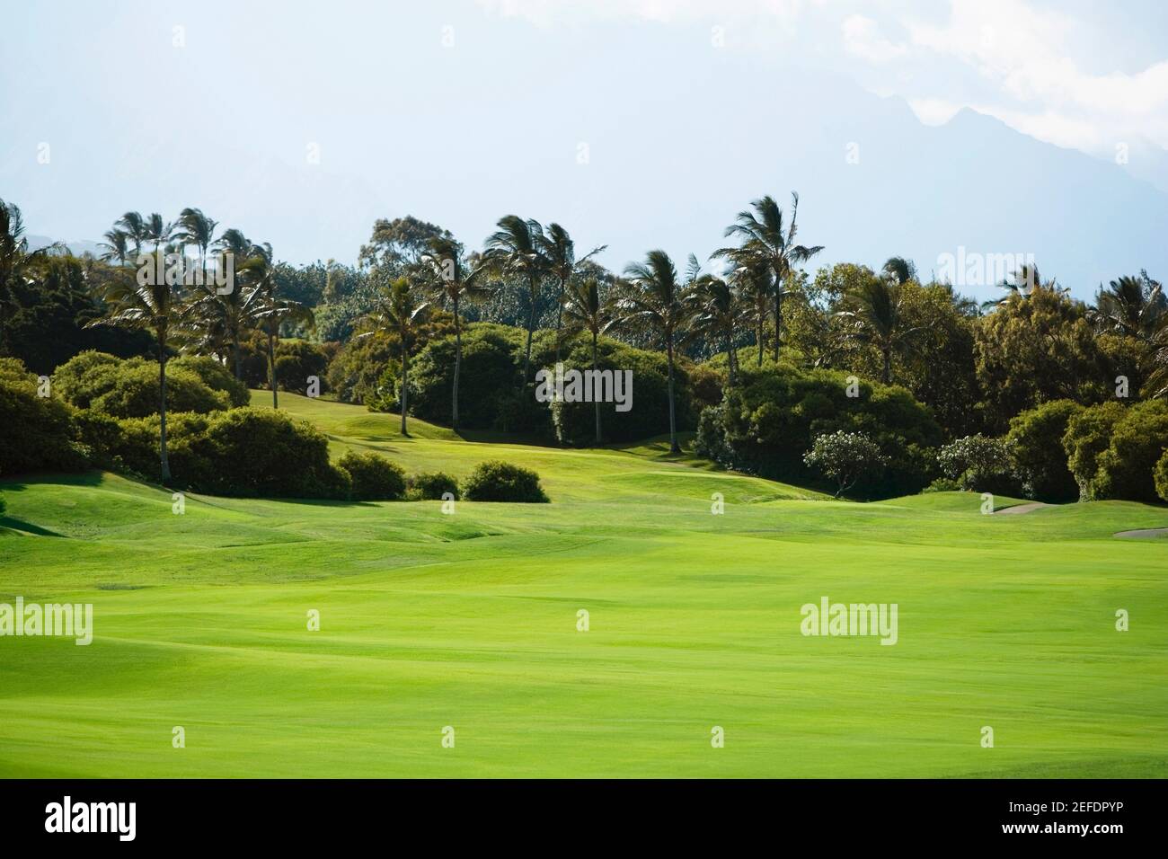 Panoramic golf photography hi-res stock photography and images - Alamy