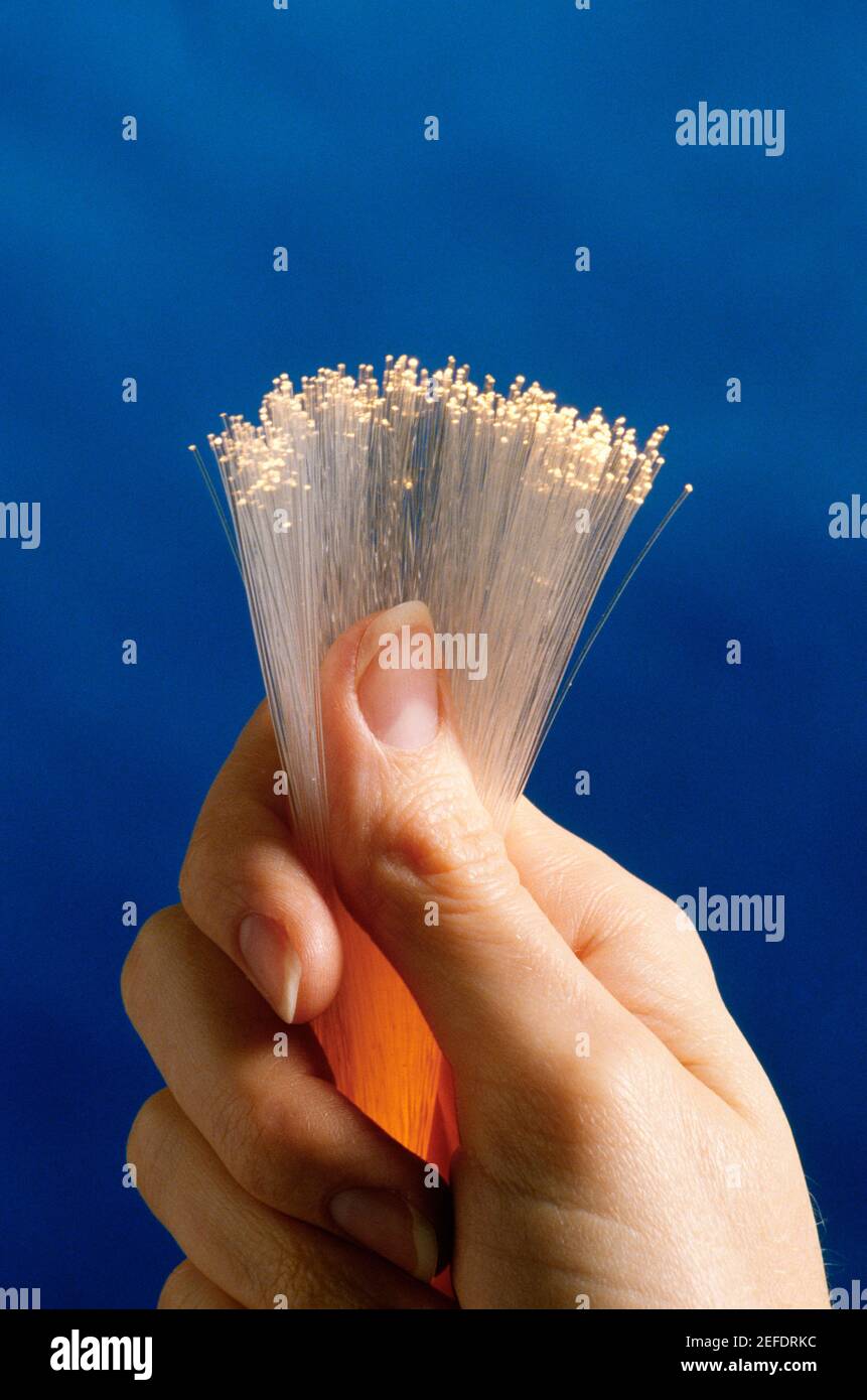 Close-up of a personÅ½s hand holding fiber optic cables Stock Photo - Alamy
