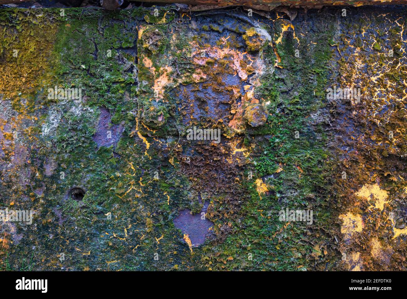 Texture background. template. Antique iron covered with rust and lichen ...